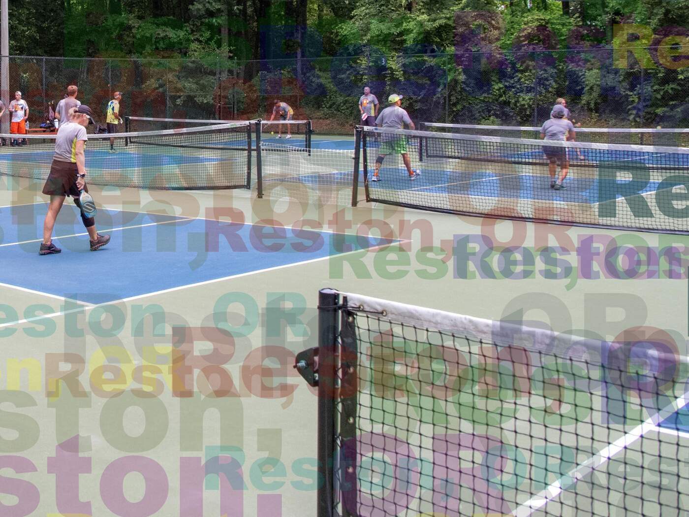Reston Pickleball: Where to Play, Learn & Compete